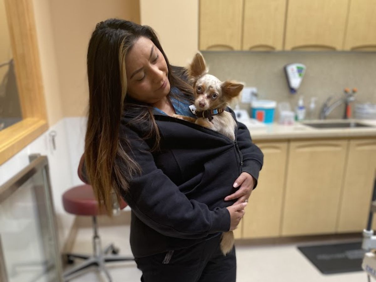 Veterinarian Referral Form | Aggie Animal Dental Center